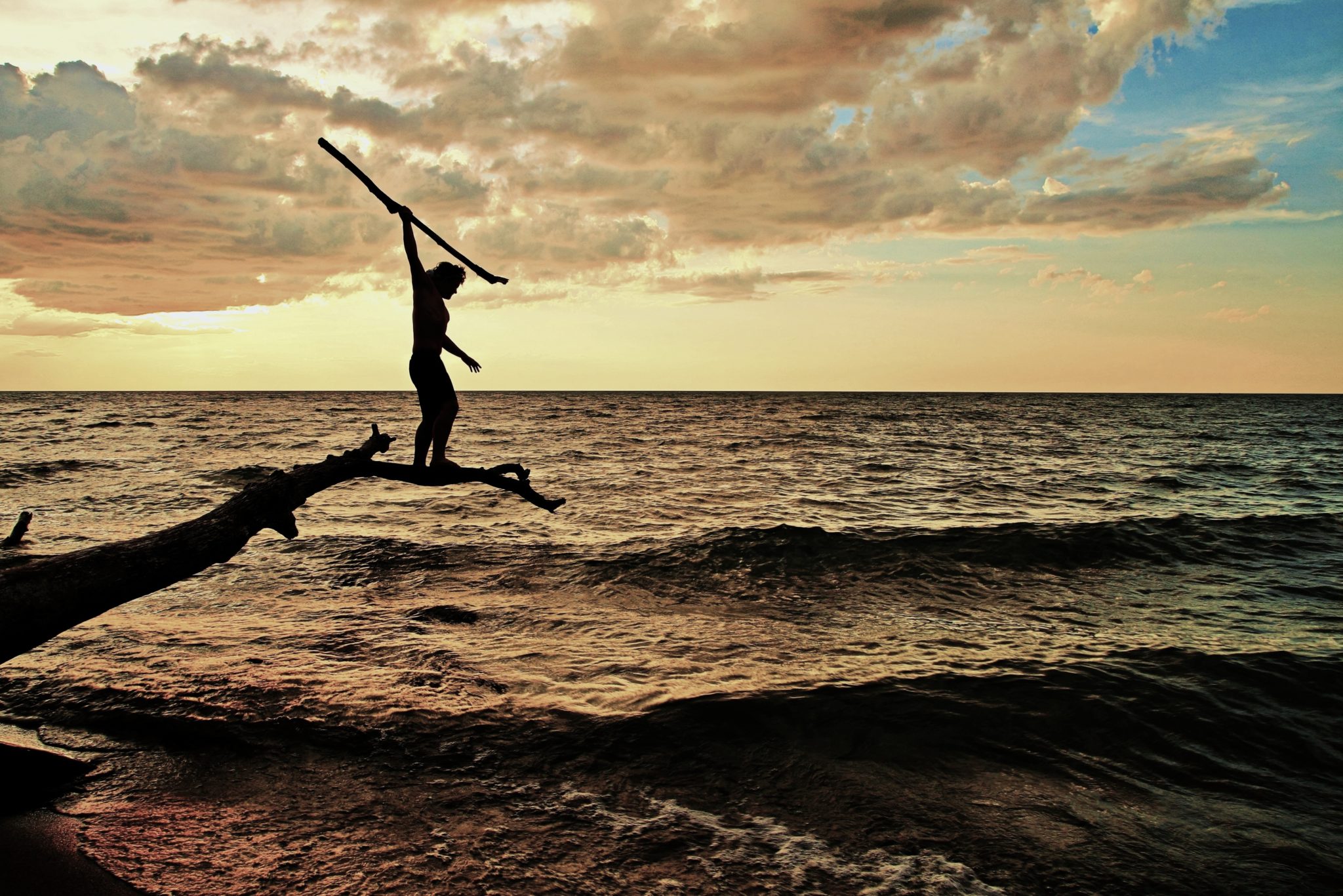 Surviving Your Probation Period · Kinexus